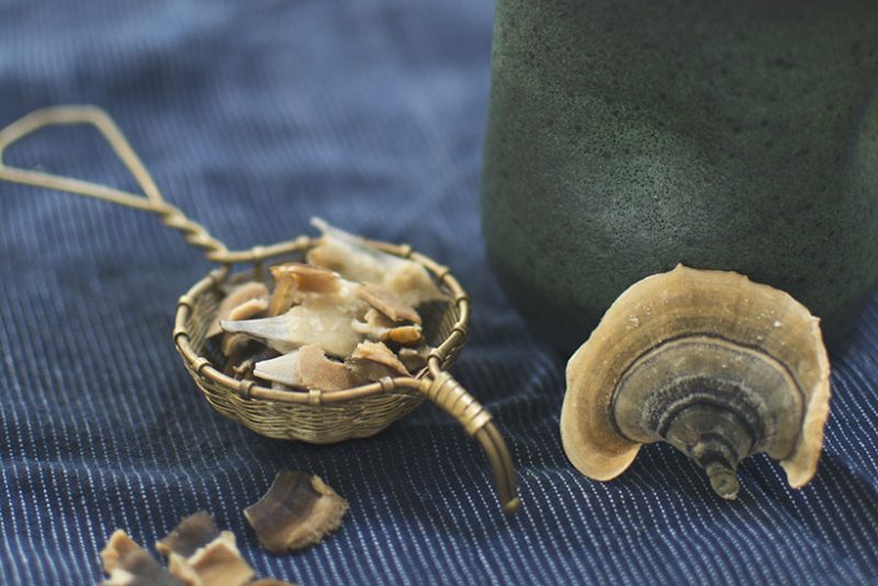 Turkey Tail Tea Time - Yvonne Cornell