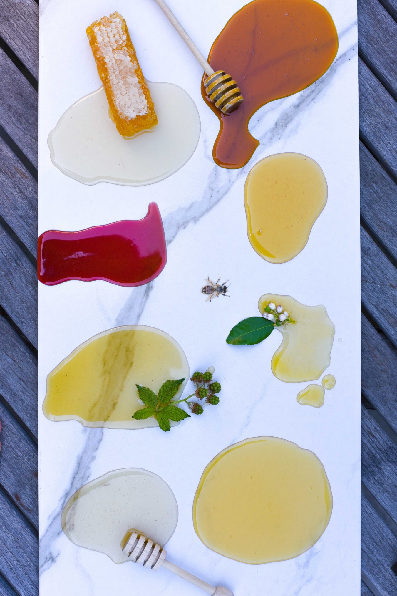 Honey Bee Tasting Palette - Yvonne Cornell